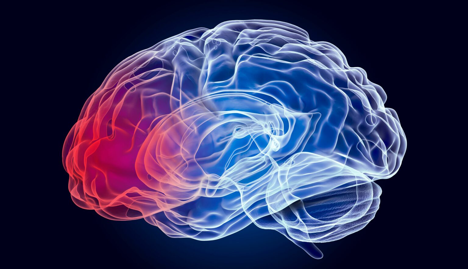 The NEW Concussion Protocol- Physical Therapy, Active Recovery, and ...