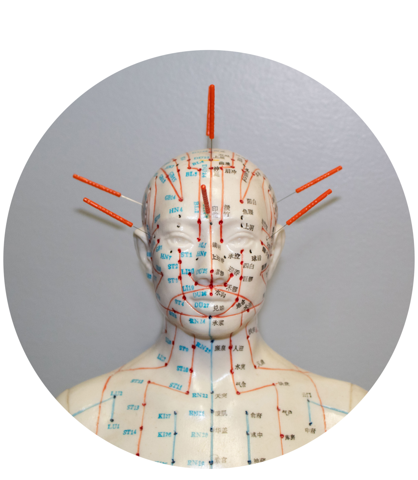 Addicted to Wellness: Discover How Acupuncture Can Support Addiction ...